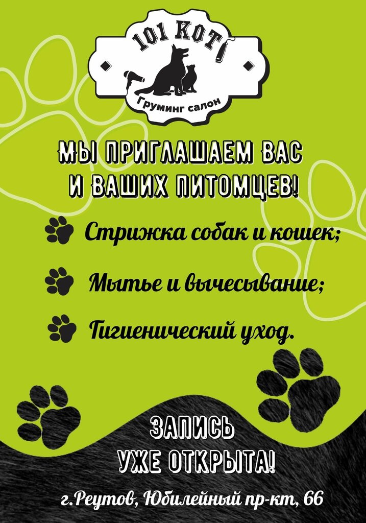 Petshop 101 Kot, Reutov, foto