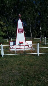Воинам, павшим в годы Великой Отечественной войны (Altai Territory, Ust-Kalmanskiy rayon, selo Ust-Kamyshenka, Tsentralnaya ulitsa), anıt, heykel  Altayski krayından