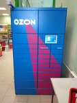 Ozon Box (Sayanskaya Street No:10Б, Moscow), parsel otomatı  Moskova'dan