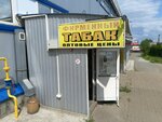 Фирменный табак (50 Let Oktyabrya Street No:108), tütün, sigara mağazaları  Kursk'tan