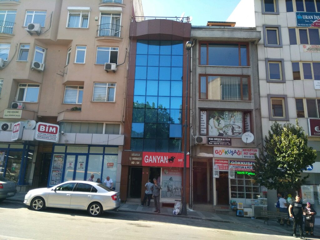 Petshop Gökkuşağı Akvaryum & Petshop, İstanbul, foto