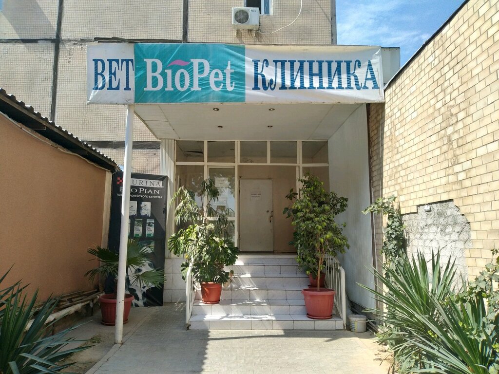 Veteriner klinikleri Clinic of Dr. Salikhov, Taşkent, foto