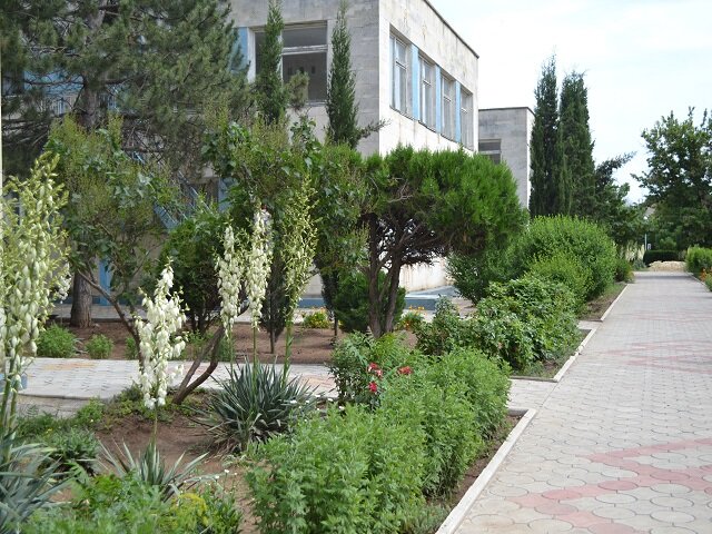 Anaokulları Детский сад имени Шевченко, Yevpatorya, foto