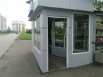 Продукты (Kemerovo — Kuzbass Region, Novokuznetsk, Novobaydaevskiy Microdistrict, Novobaydaevskaya Street), market  Novokuznetsk'ten