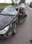 Molotok (Moscow, Troitskiy Administrative Okrug, Krasnopakhorskiy District, Kaluzhskoye shosse, 42-y kilometr, вл1А), oto kaporta  Moskova'dan