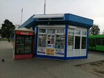 Брестгортранс (Brest, Pawdniovy Microdistrict), bilet gişesi  Brest'ten