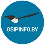 Osipovichi Info (vulica Staškieviča No:51), i̇nternet portalları  Asipovichy'den