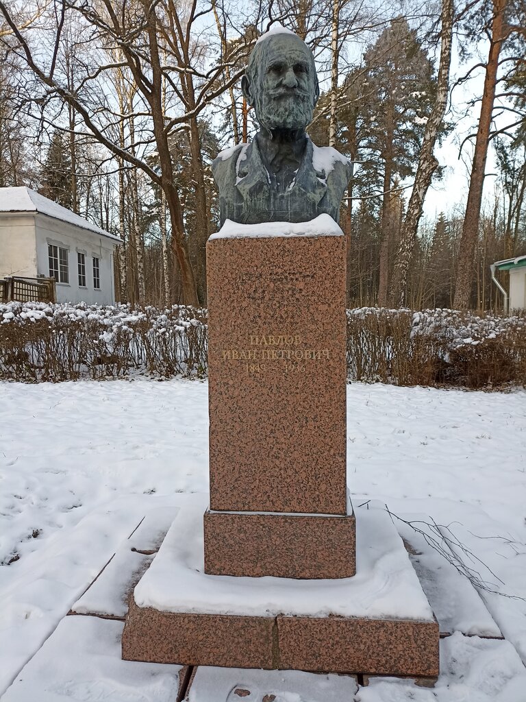 Anıt, heykel И.П. Павлов, Saint‑Petersburg ve Leningradskaya oblastı, foto