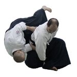 Aikido (Trifonovskaya Street No:2), spor okulları  Moskova'dan