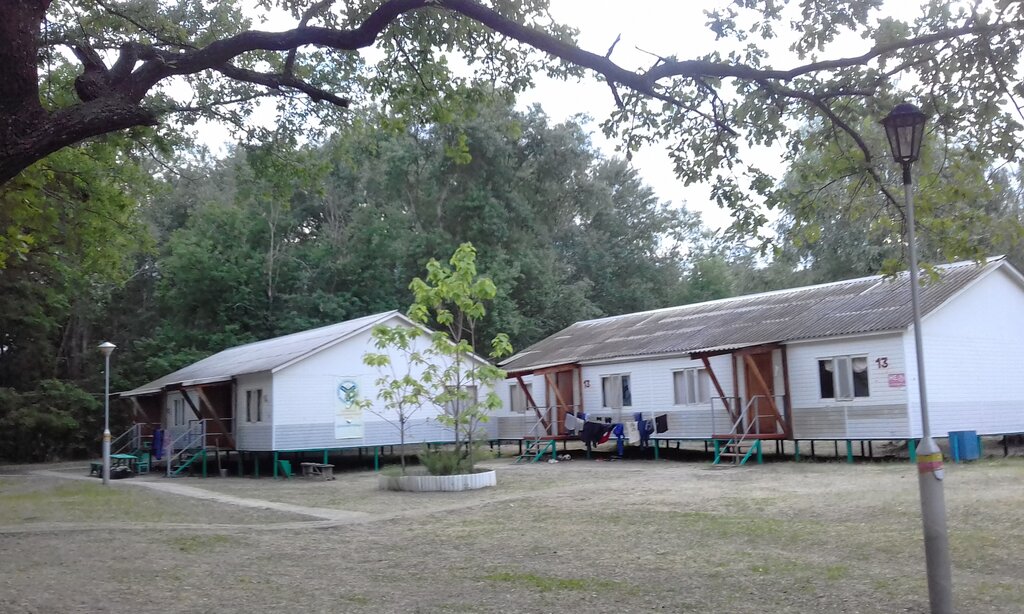 i̇skele Jetty , Saratov, foto