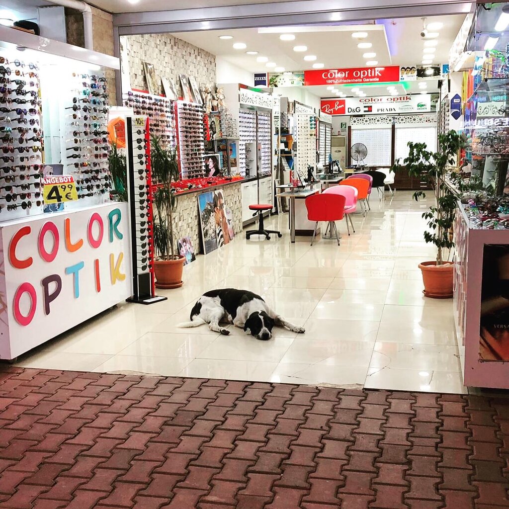 Optik Color Optik, Manavgat, foto