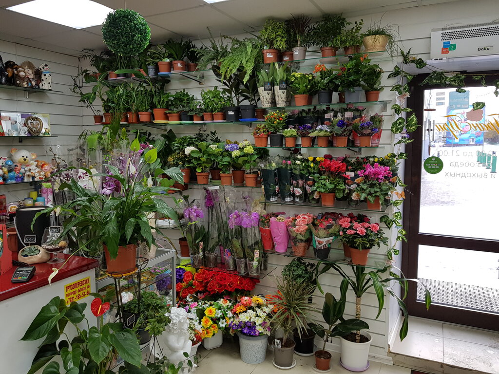Çiçekçiler Flower shop Gran-Pri, Zapolyarni, foto