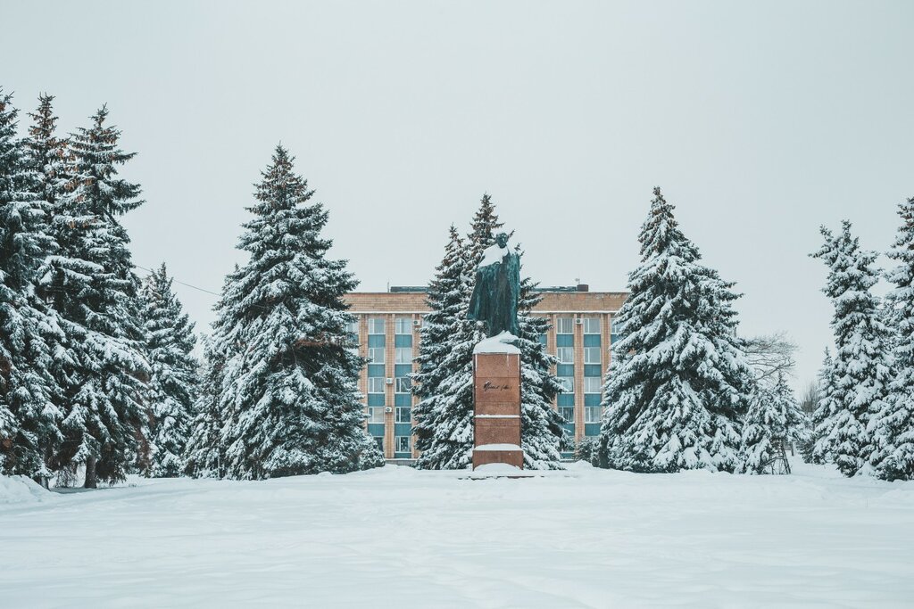 Anıt, heykel В.И. Ленин, Krasnyi Luch, foto