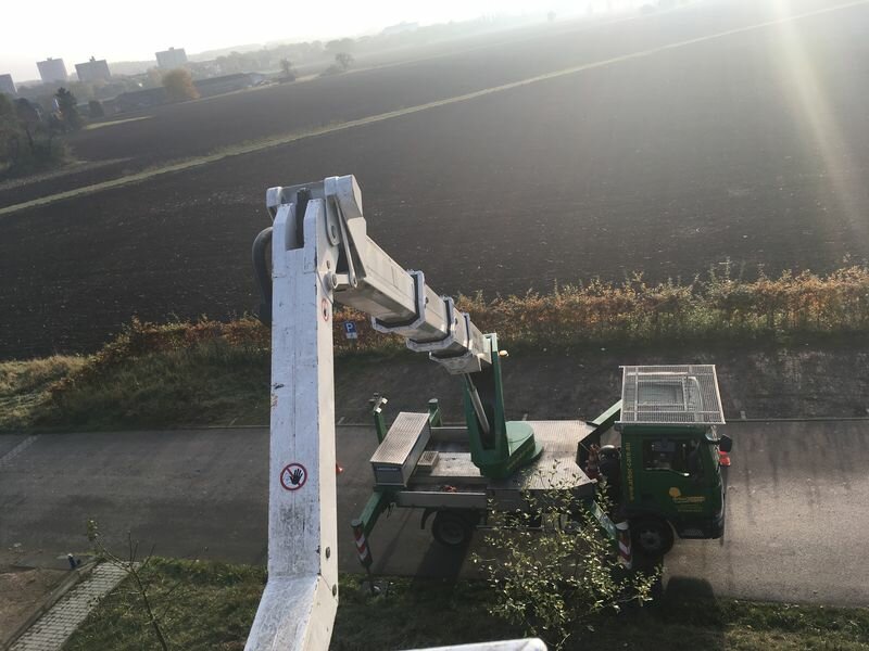 Bahçe ekipmanları ve teknolojileri ArborCare·ca Baumdienst Baumpflege Seilklettertechnik Bonn, Kuzey Ren‑Vestfalya, foto
