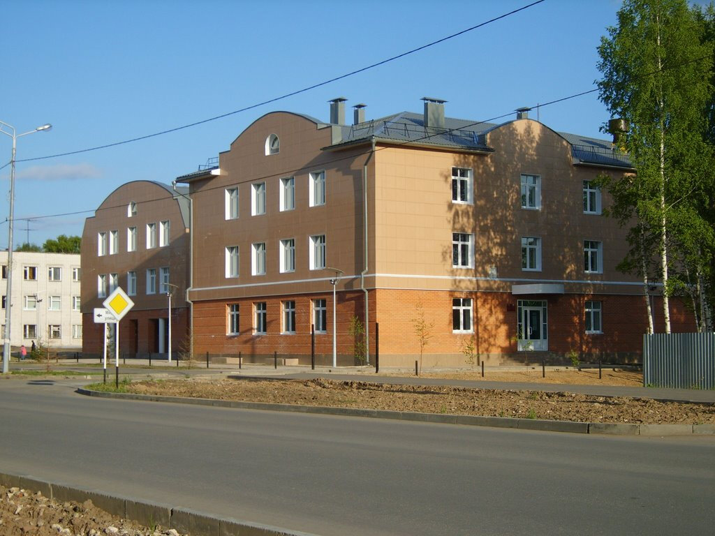 Kütüphaneler Central Children's Library named after A.P. Gaidar, Zelenodolsk (Yeşel Üzen), foto