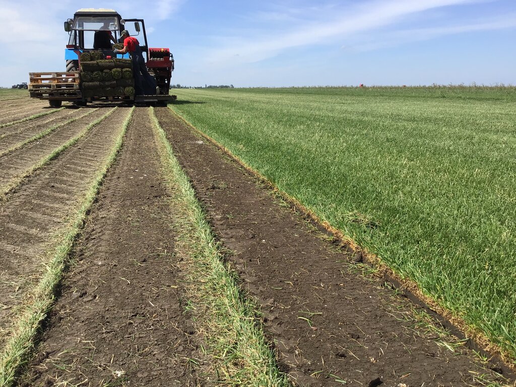 Tarım firmaları Tri sezona, Kırım Cumhuriyeti, foto