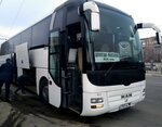 Gogobus (bulvar Shevchenka No:6А), otobüs taşımacılığı  Donetsk'ten