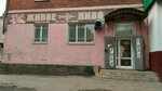 Golden beer (ulitsa Barkhatovoy No:1А, mikrorayon Zaozyorny), bira dükkanı  Omsk'tan