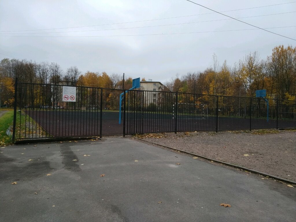 Spor alanı Sports activity location, Saint‑Petersburg, foto