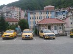 Borçka Terminal Taksi Durağı (Artvin, Borçka, Aksu Mah., Emniyet Cad.), taksi  Borçka'dan