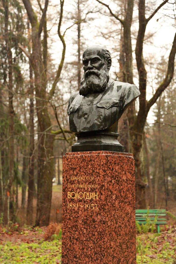 Anıt, heykel В.П. Вологдин, Saint‑Petersburg, foto