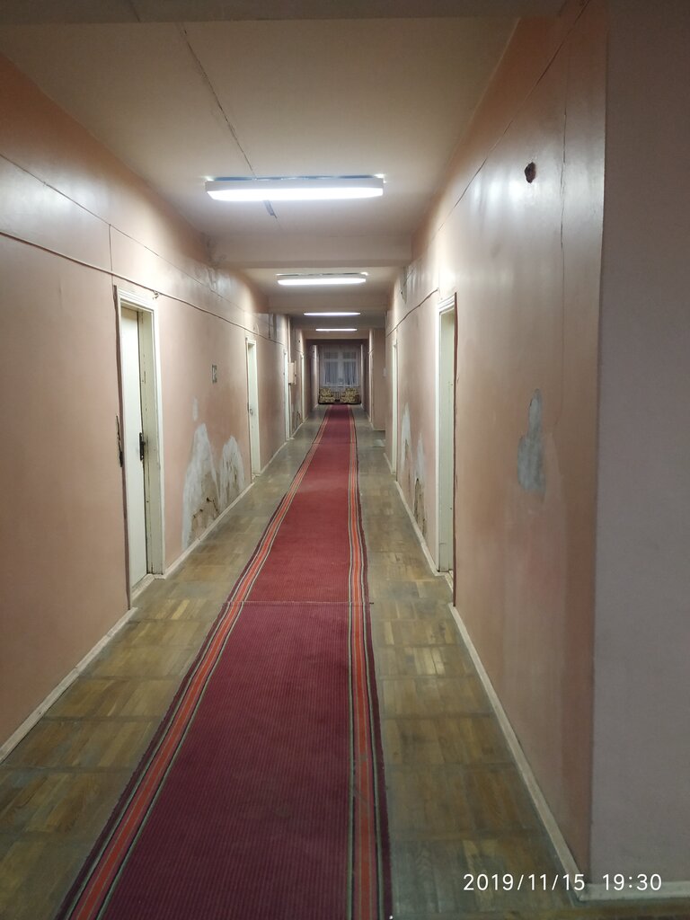 Otel Orsha gostinitsa, filial, Orsha, foto