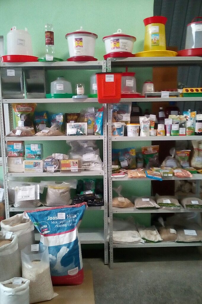Petshop Zlak, Riazanskaya oblastı, foto