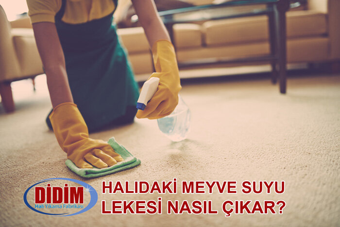 Halı yıkamacılar Didim Kaşmir Halı Yıkama, Didim, foto