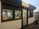 Сытый кот (Sevastopol, ulitsa Narodnykh Opolchentsev), petshop  Sevastopol'dan