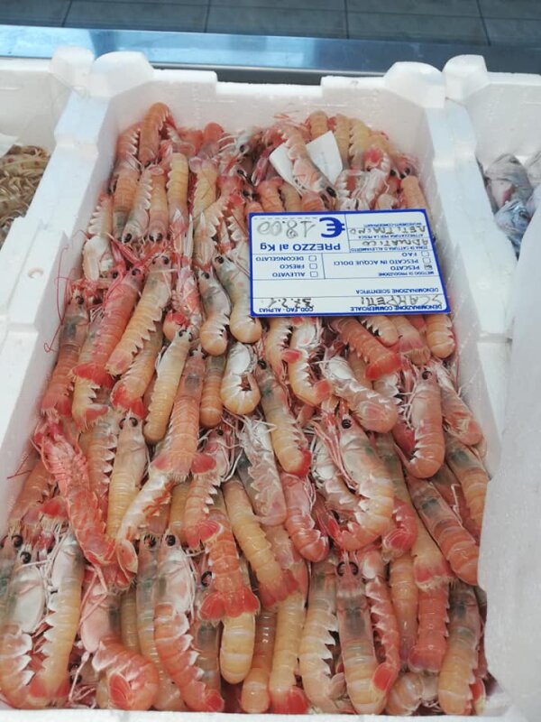 Balık çiftçiliği ve toptancıları Pescheria El Pescado, Marche, foto