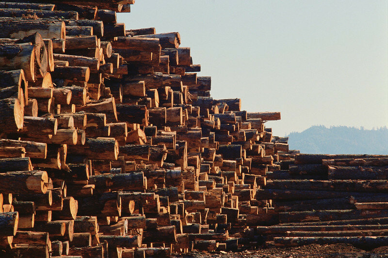 Orman işleri Garten- & Forstservice Aigner GmbH, Bavyera, foto