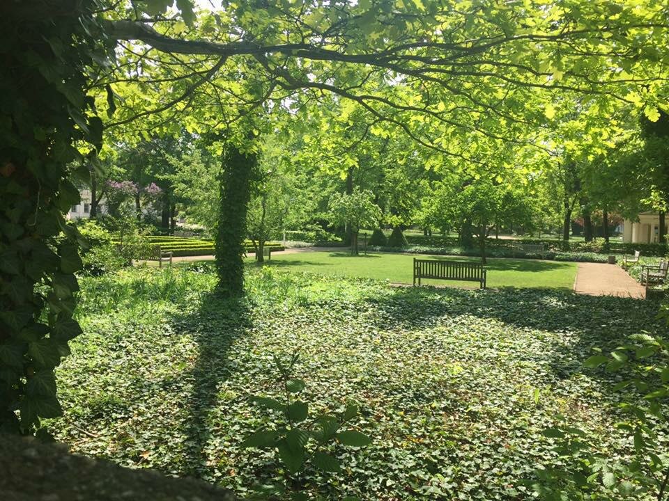 Spa Solequell Bad Salzelmen, Saksonya‑Anhalt, foto