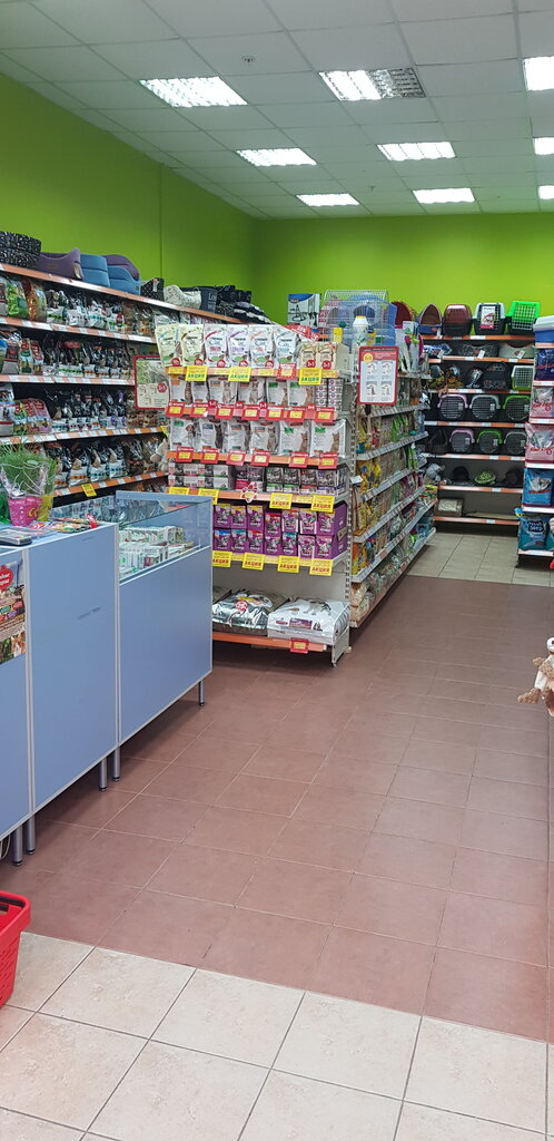 Petshop Zoogalereya, Moskova, foto