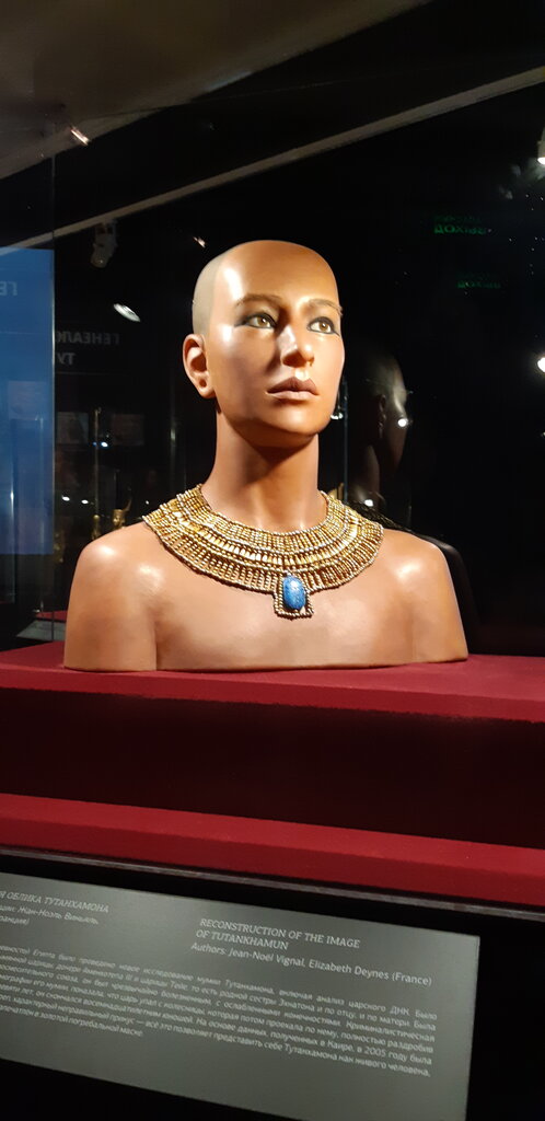 Müzeler ve sanat galerileri Выставка «Сокровища гробницы Тутанхамона», Samara, foto