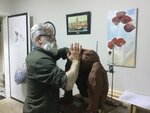Maltepe Anadolu Güzel Sanatlar Derneği (Yalı Mah., Gürsel Sok., No:7, Maltepe, İstanbul), çevre dernekleri  İstanbul'dan