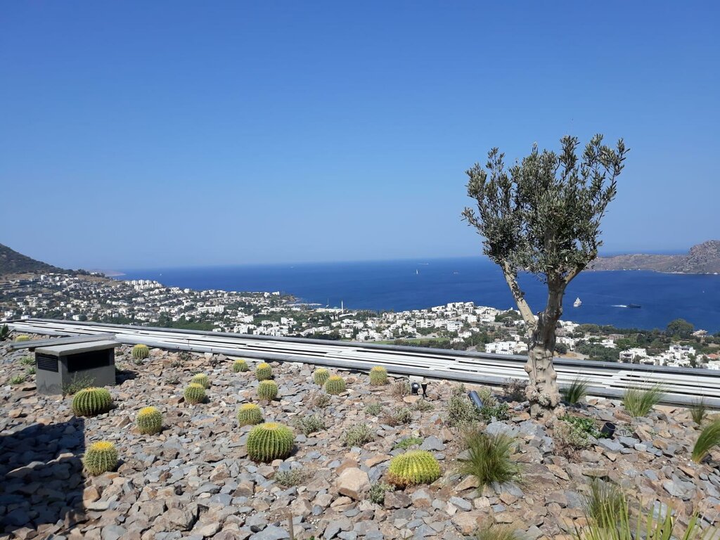 Satış ofisi G Beyond, Bodrum, foto