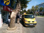 Taksi Dolmuş Durağı (Aziz Mahmut Hüdayi Mah., Hakimiyeti Milliye Cad., Üsküdar, İstanbul), taksi  İstanbul'dan