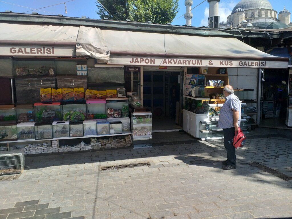 Akvaryumlar Japon Akvaryum, İstanbul, foto