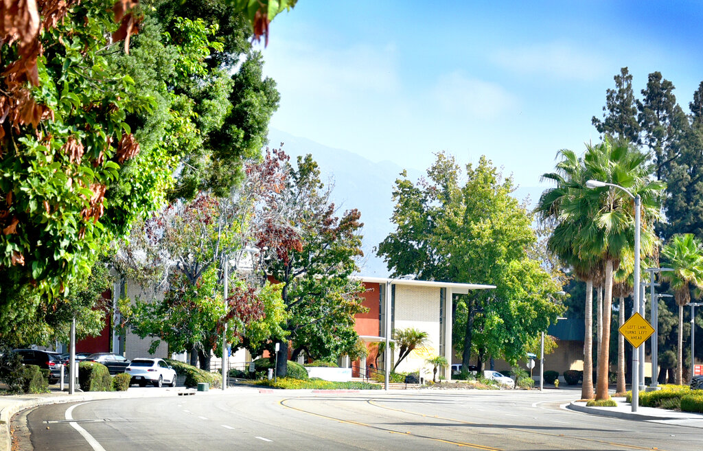 Özel okul Excelsior School, Arcadia, foto