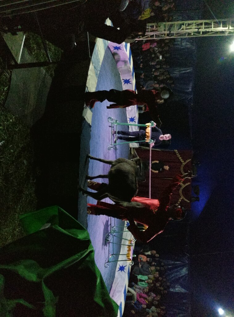 Anaokulları Детский сад Солнышко, Sudogda, foto