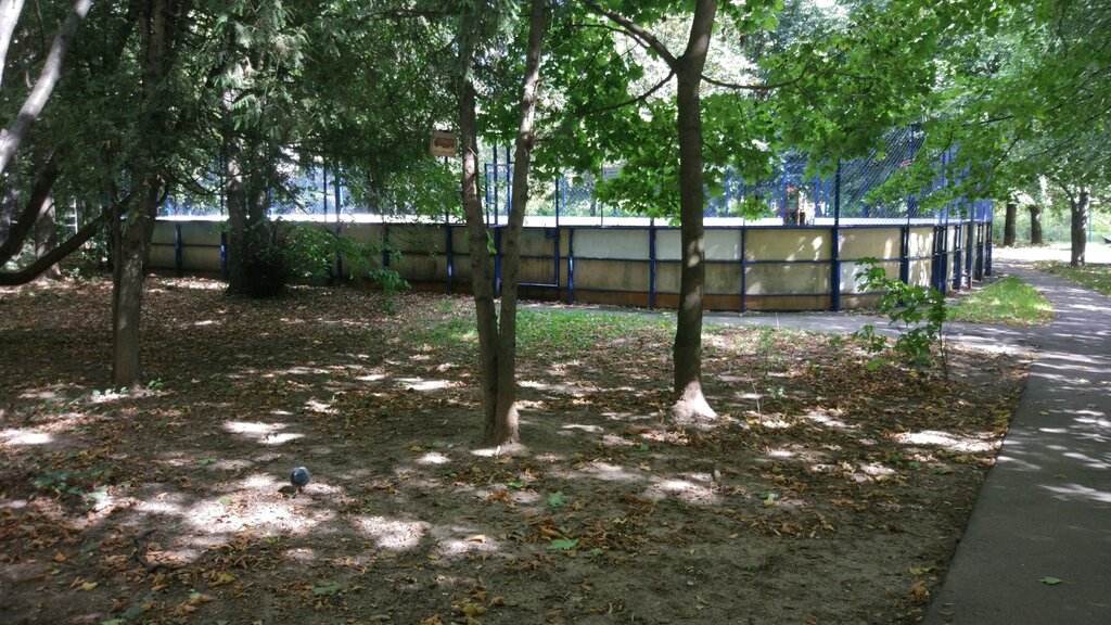 Buz pateni pistleri Dvorovaya territoriya, Moskova, foto