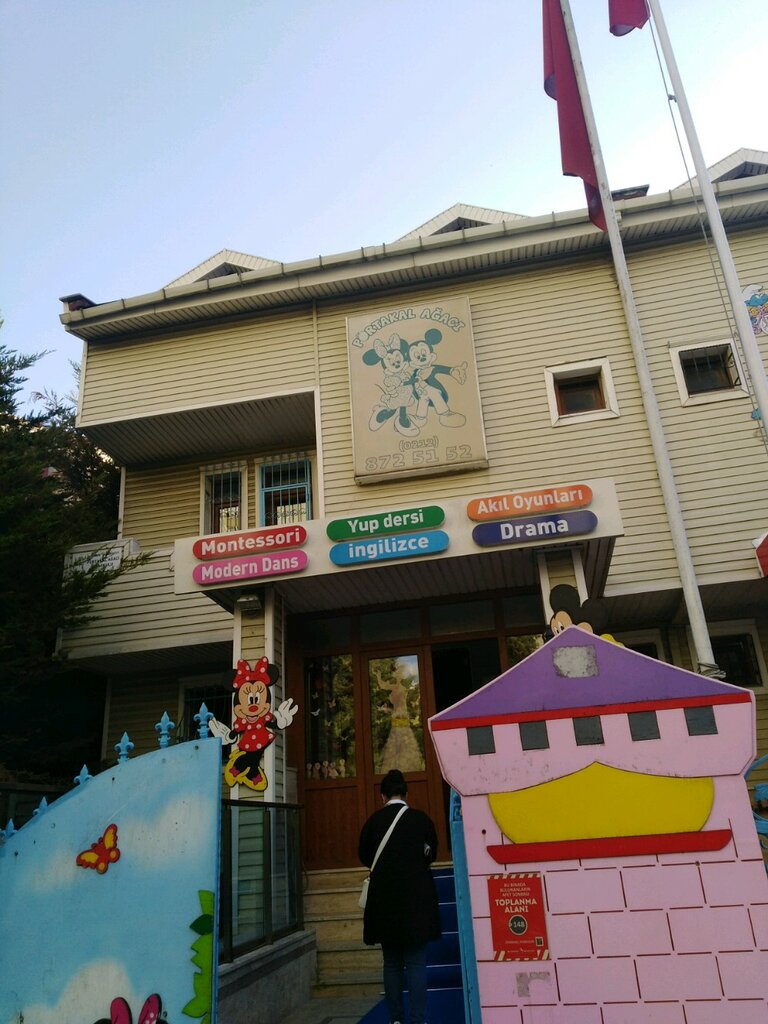 Anaokulları Portakal Ağacı, İstanbul, foto