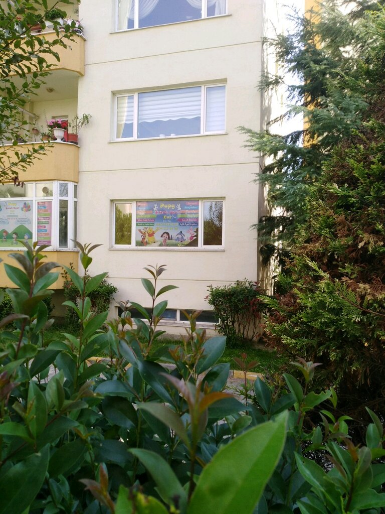 Anaokulları Pupy Çocuk Anaokulu ve Oyun Evi, İstanbul, foto