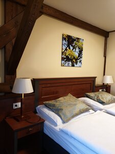 Hotel Zámek Valec (Valeč 1,Valeč u Hrotovic,675 53 Valeč,), otel  Dünya'dan