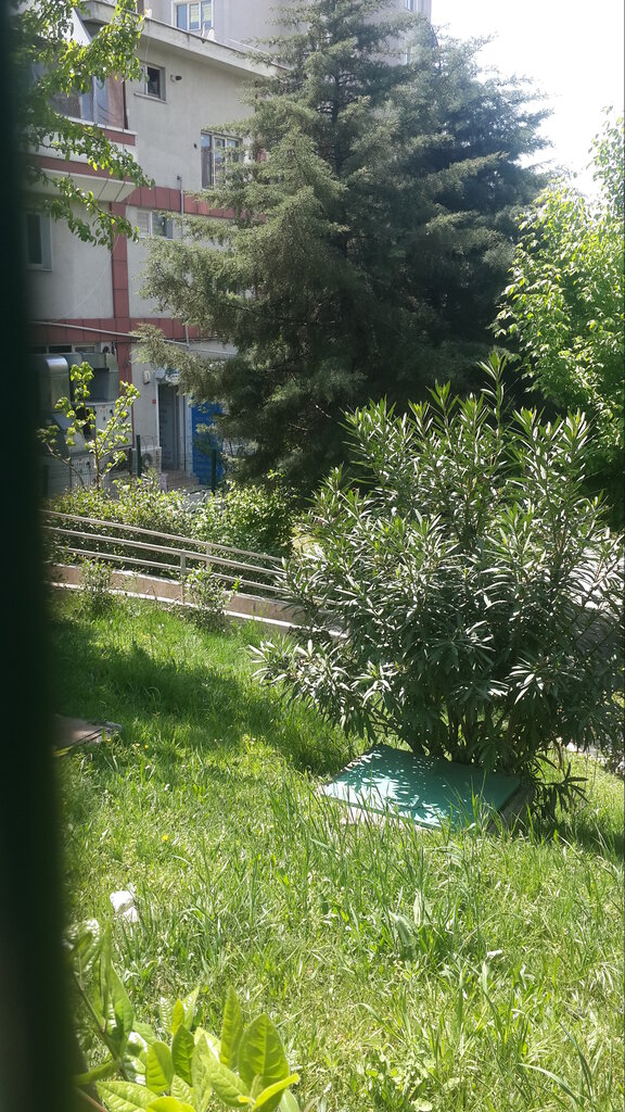 Çok amaçlı spor tesisleri An An Studio, İstanbul, foto