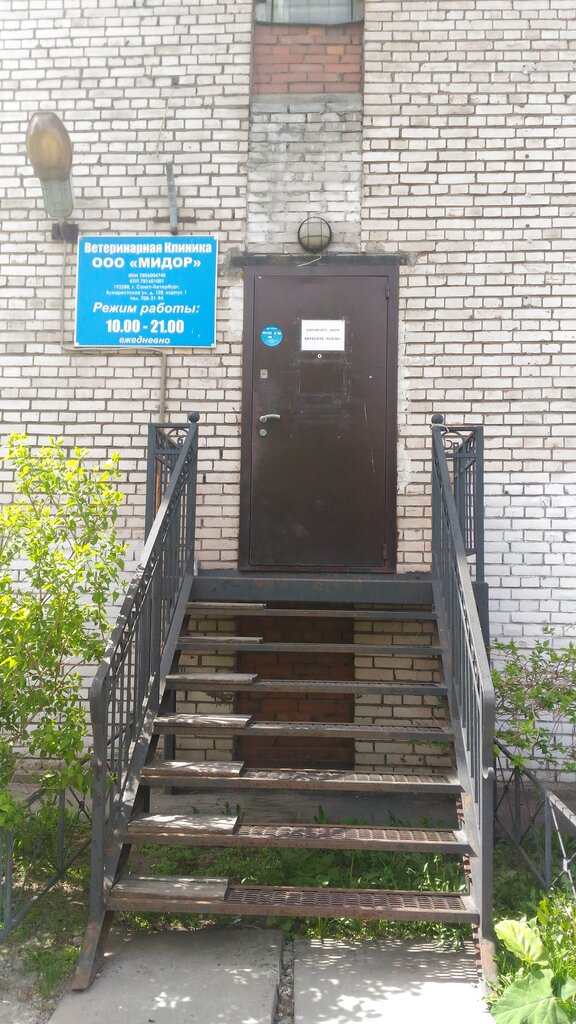 Veteriner klinikleri Veterinarny tsentr Midor, Saint‑Petersburg, foto