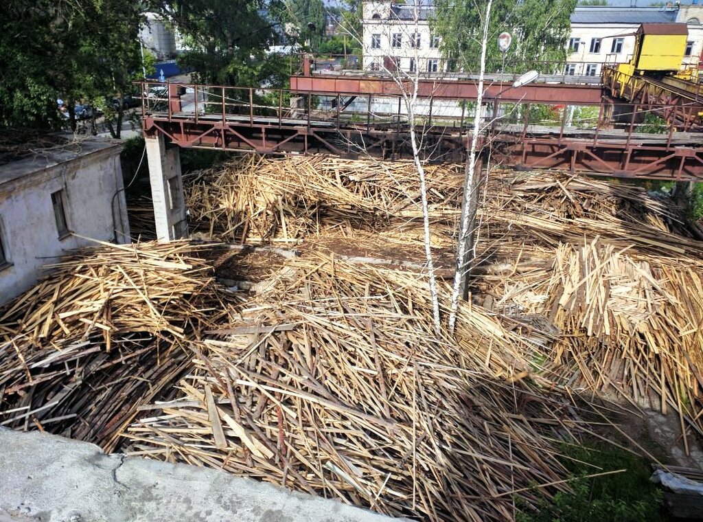 Ahşap endüstrisi Sawdust shavings croaker, Elektrostal, foto