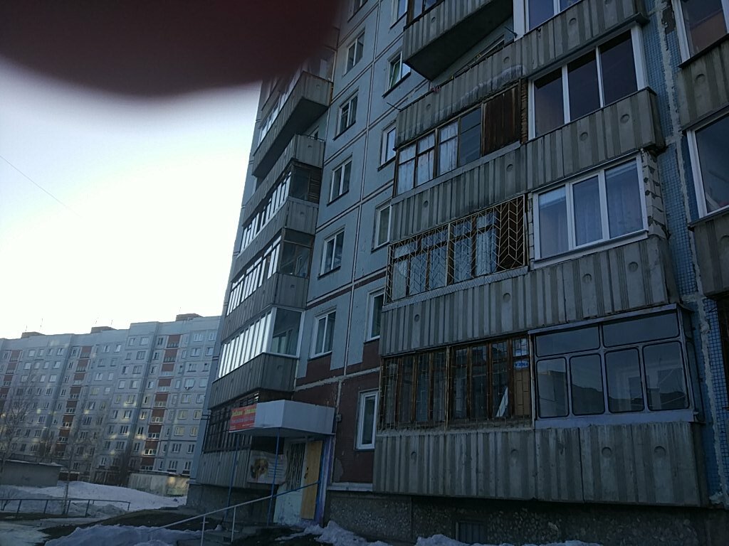 Evcil hayvan kuaförleri Zoosalon Stilyagi, Novosibirsk, foto