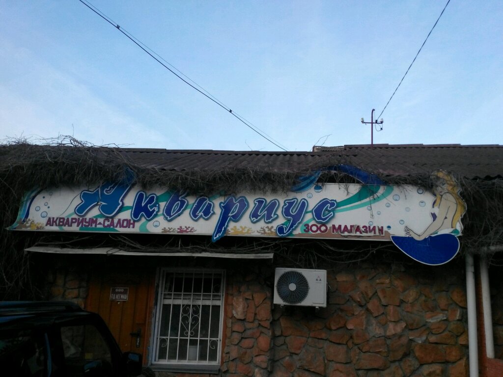 Akvaryumlar Akvarius, Orel, foto