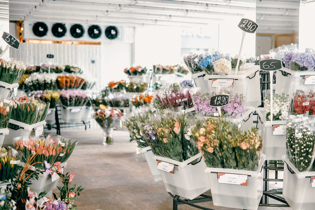 Çiçekçiler Moscvettorg, Moskova, foto